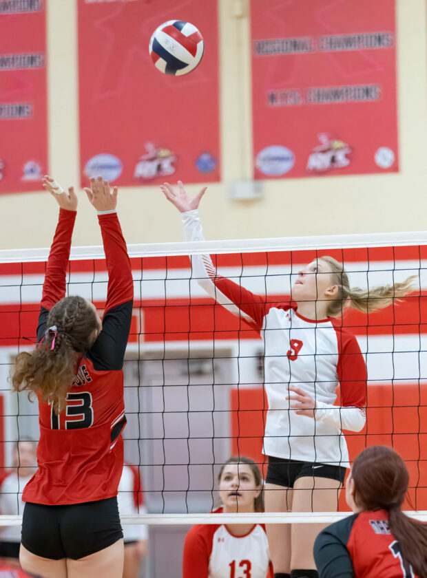 T’Birds Eliminate Wolverines | News, Sports, Jobs - Post Journal